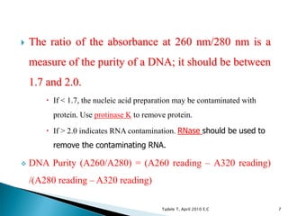 Dna quantification 2011 ec | PPT