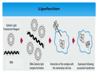 Dna recombinant technology | PPTX