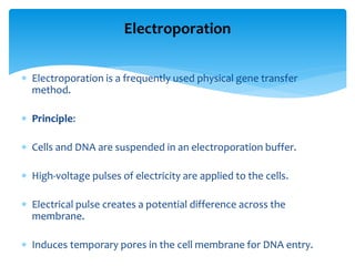 Dna recombinant technology | PPTX