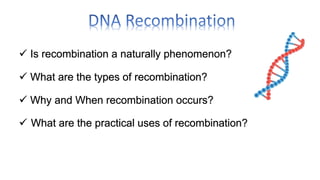 Dna recombination | PDF