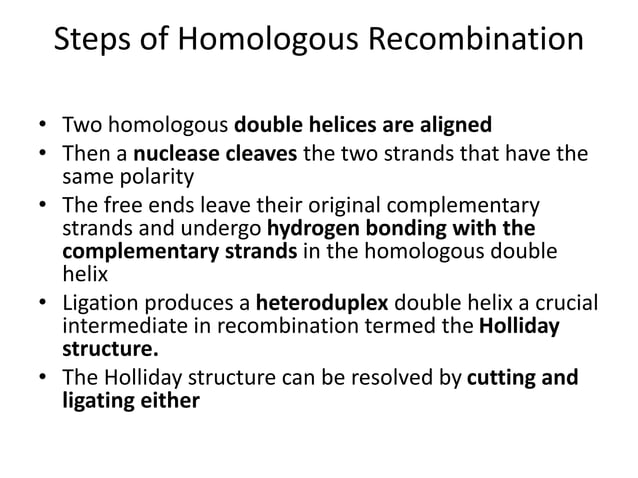 DNA Recombination: basics and its all types | PPTX | Genetics | Science