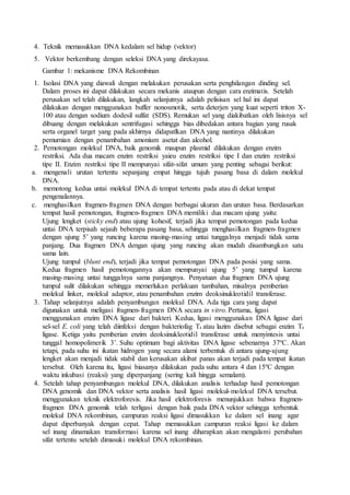 Dna rekombinan | DOCX