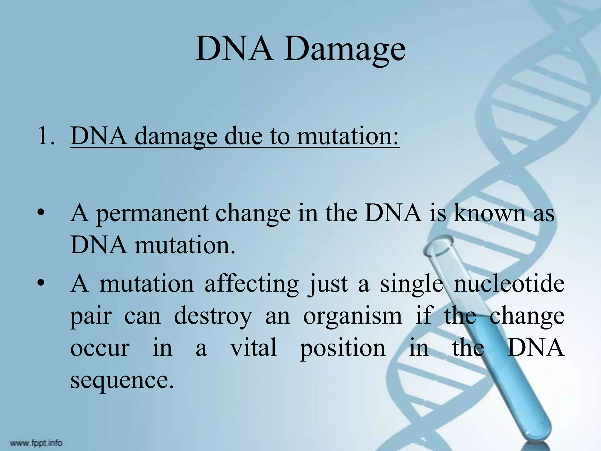 Dna repair | PPTX