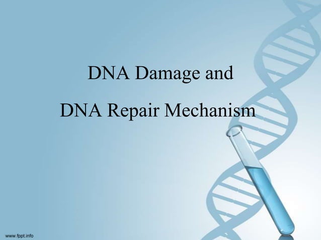 Dna repair | PPT
