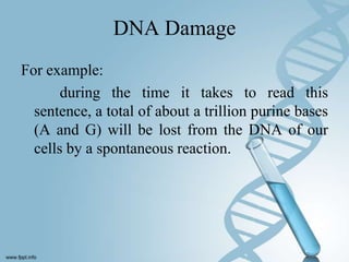 Dna repair | PPTX