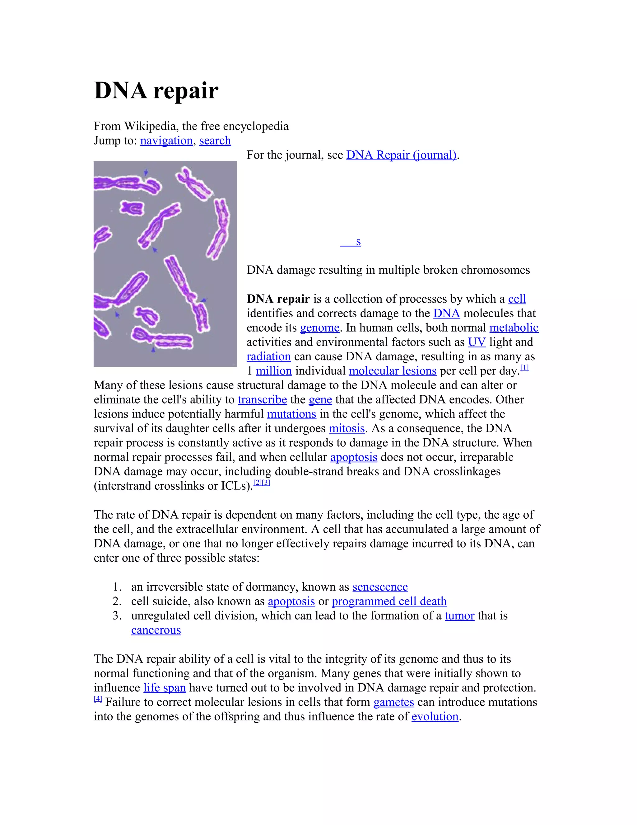 Dna repair | PDF