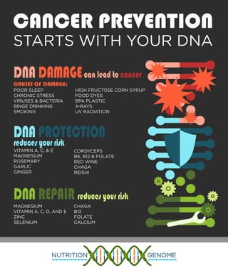 DNA Damage and Repair | PDF