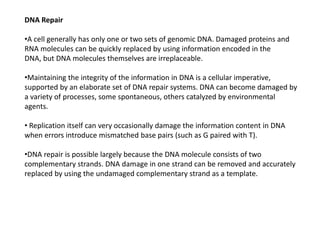 Dna repair | PPTX