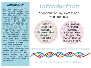 Dna repair | PDF