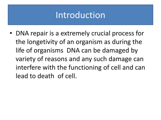 DNA repair | PPT