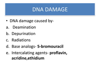 DNA repair | PPTX