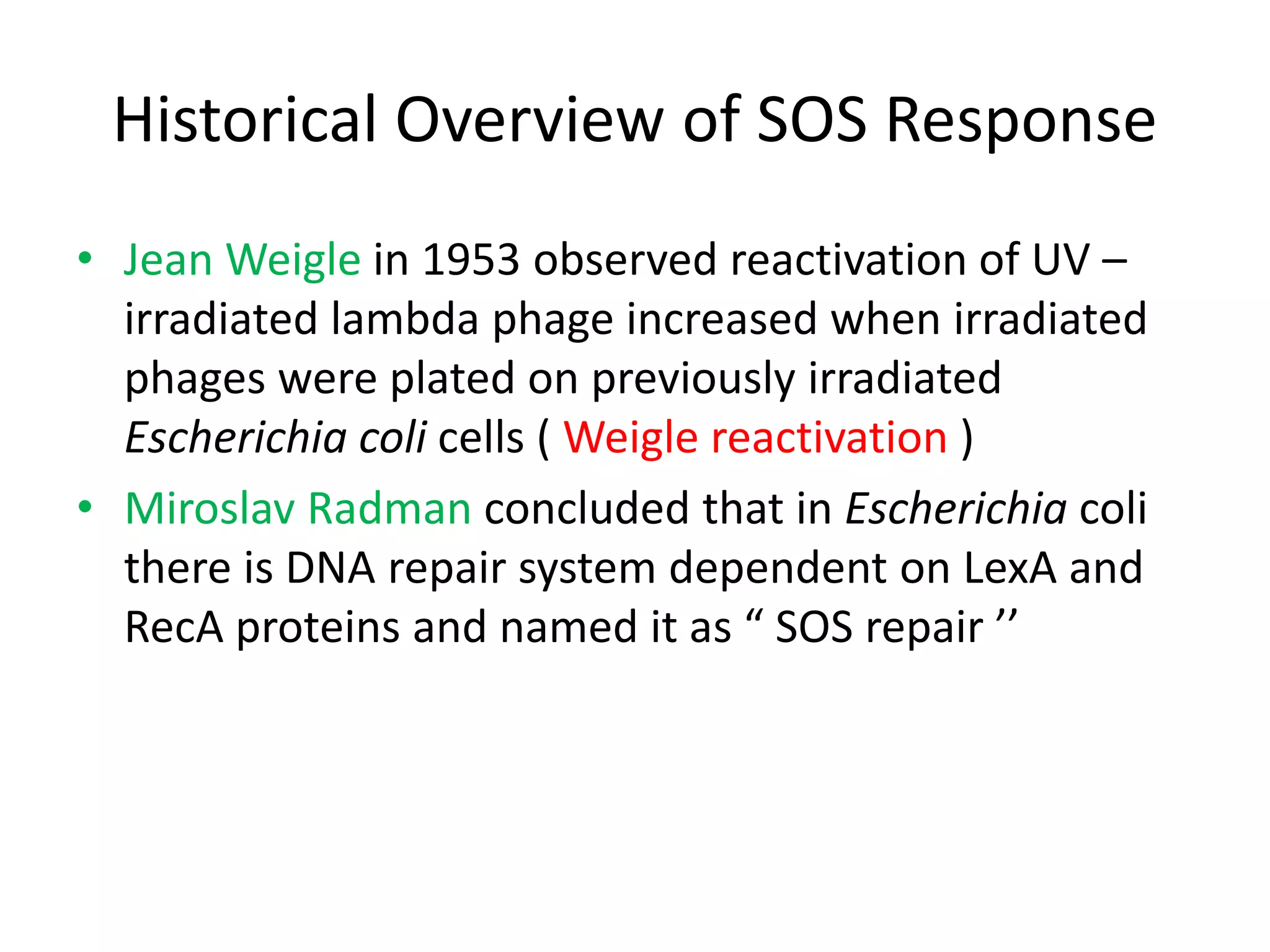 DNA Repair Mechanisms | PPT