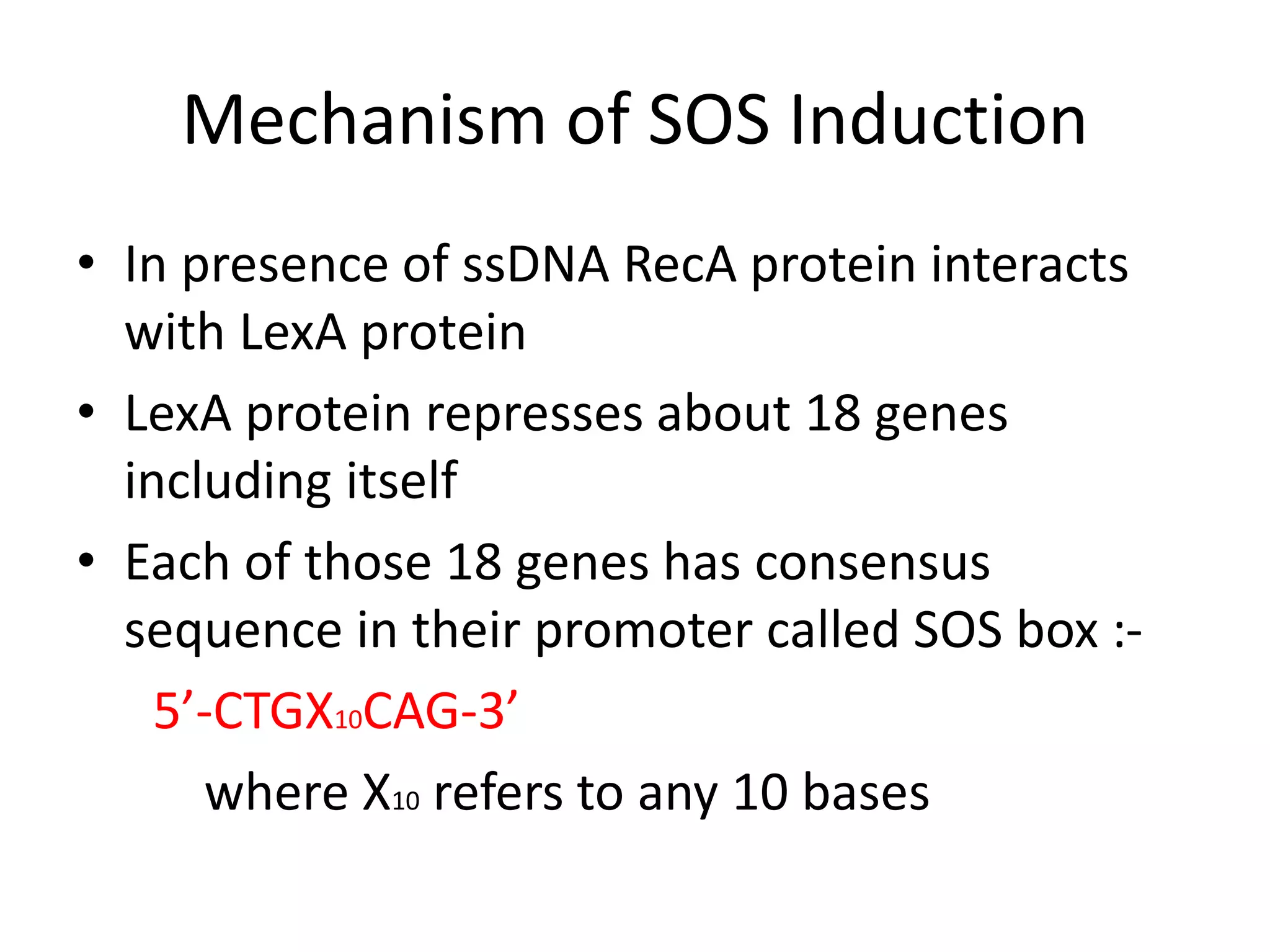 DNA Repair Mechanisms | PPT