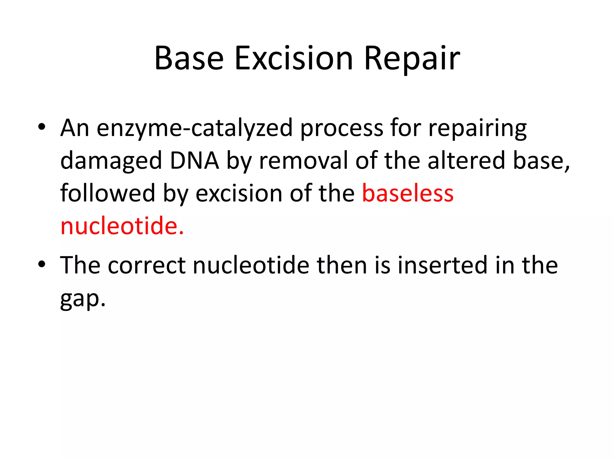 DNA Repair Mechanisms | PPT