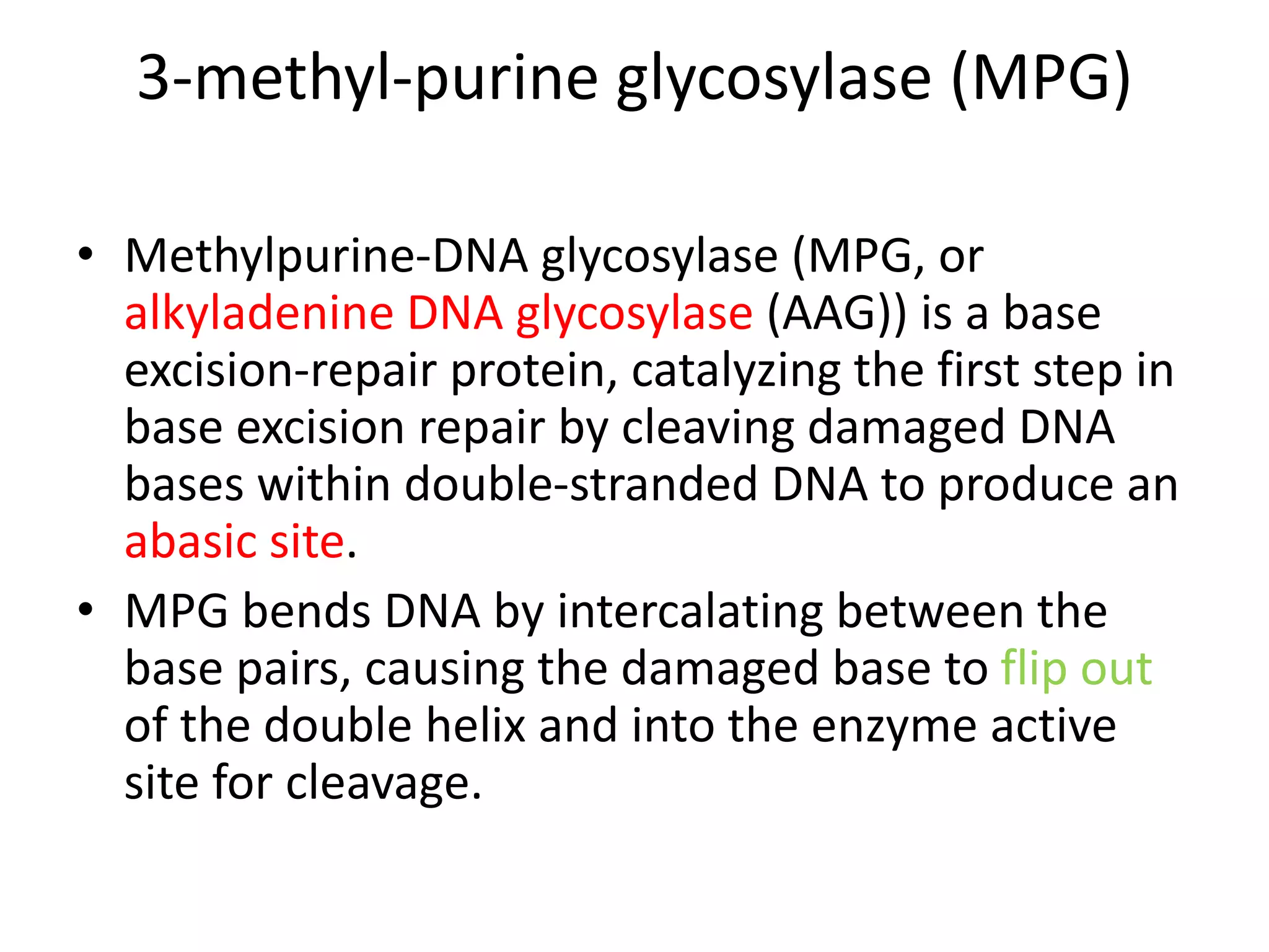 DNA Repair Mechanisms | PPT