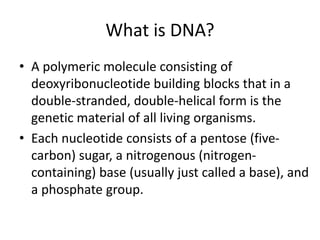 DNA Repair Mechanisms | PPT