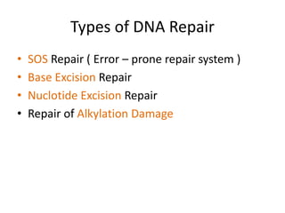 DNA Repair Mechanisms | PPT