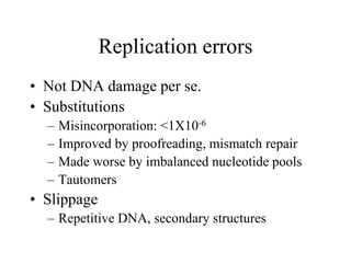 DNA REPAIR-2.pdf