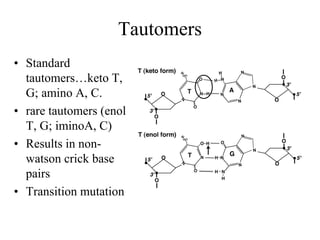 DNA REPAIR-2.pdf
