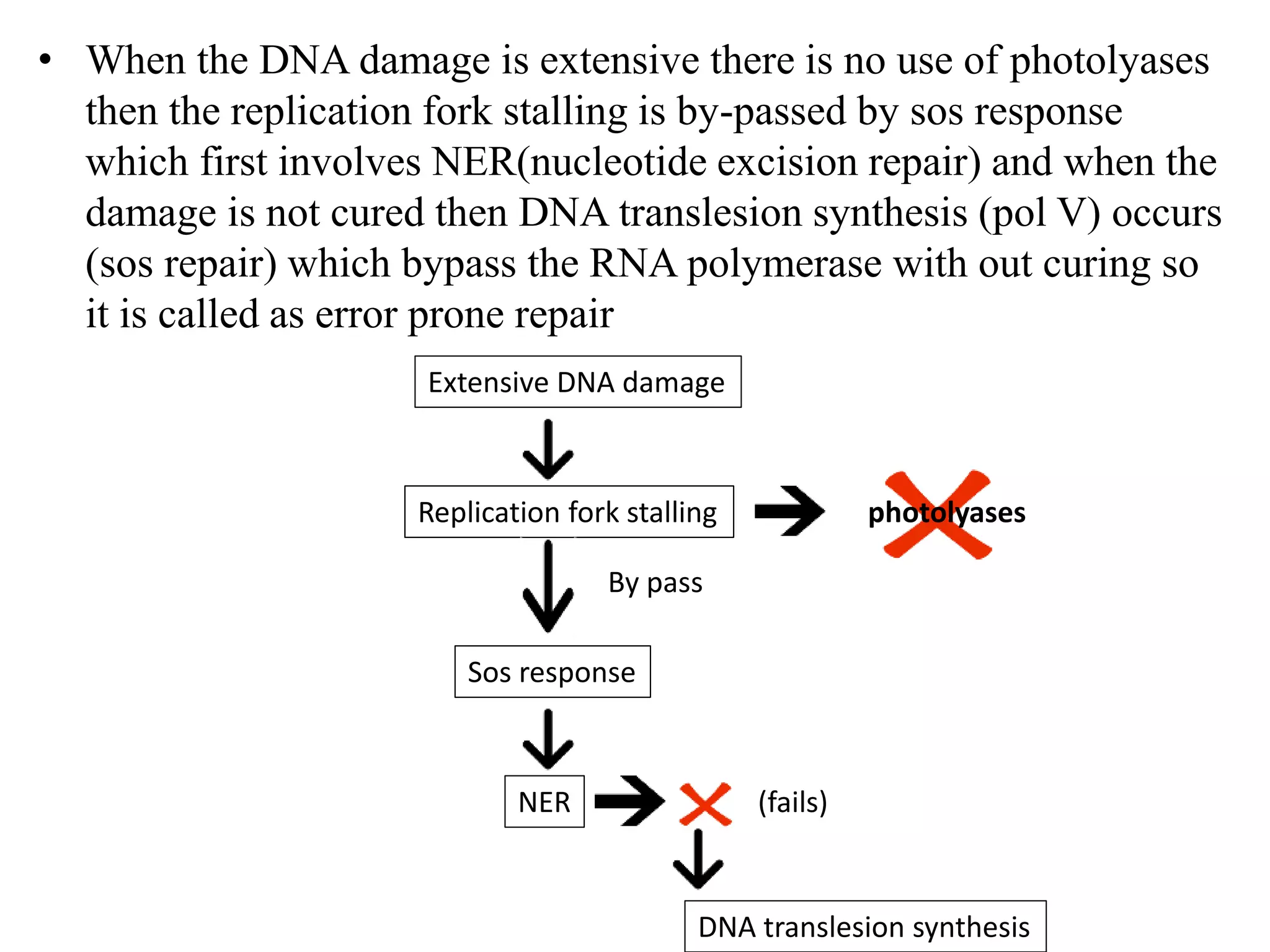 Dna damage,repair | PPTX