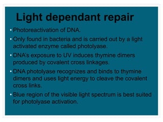 DNA Repair and its types | PPTX | Chemistry | Science