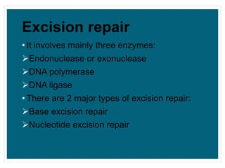 DNA Repair and its types | PPTX | Chemistry | Science