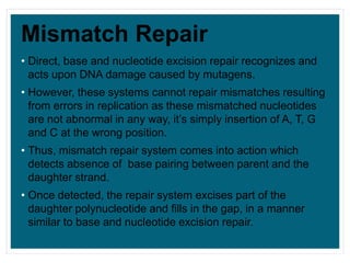 DNA Repair and its types | PPTX