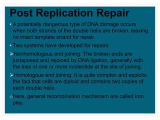 DNA Repair and its types | PPTX | Chemistry | Science