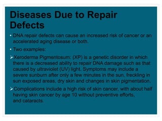 DNA Repair and its types | PPTX | Chemistry | Science