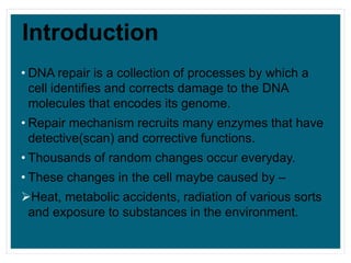 DNA Repair and its types | PPTX | Chemistry | Science