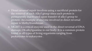 DNA REPAIR.pptx | Chemistry | Science