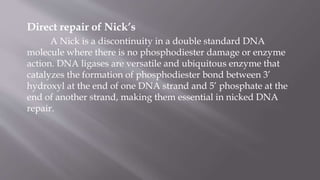 DNA REPAIR.pptx | Chemistry | Science
