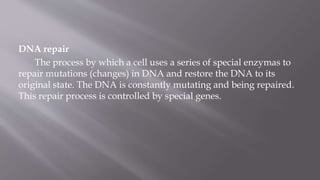 DNA REPAIR.pptx | Chemistry | Science