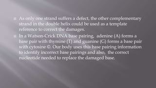DNA REPAIR.pptx | Chemistry | Science