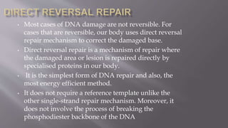 DNA REPAIR.pptx