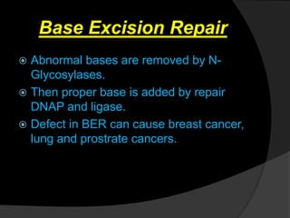 DNA REPAIR.pptx | Cancer | Diseases and Conditions