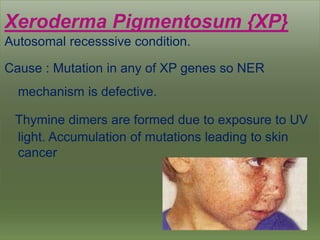 DNA REPAIR.pptx | Cancer | Diseases and Conditions