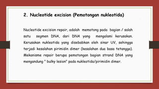 DNA Repair.pptx