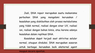 DNA Repair.pptx