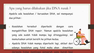 DNA Repair.pptx