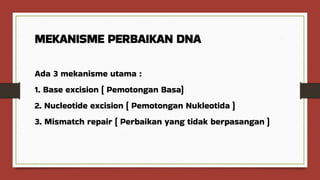 DNA Repair.pptx