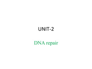 DNA repair | PPT