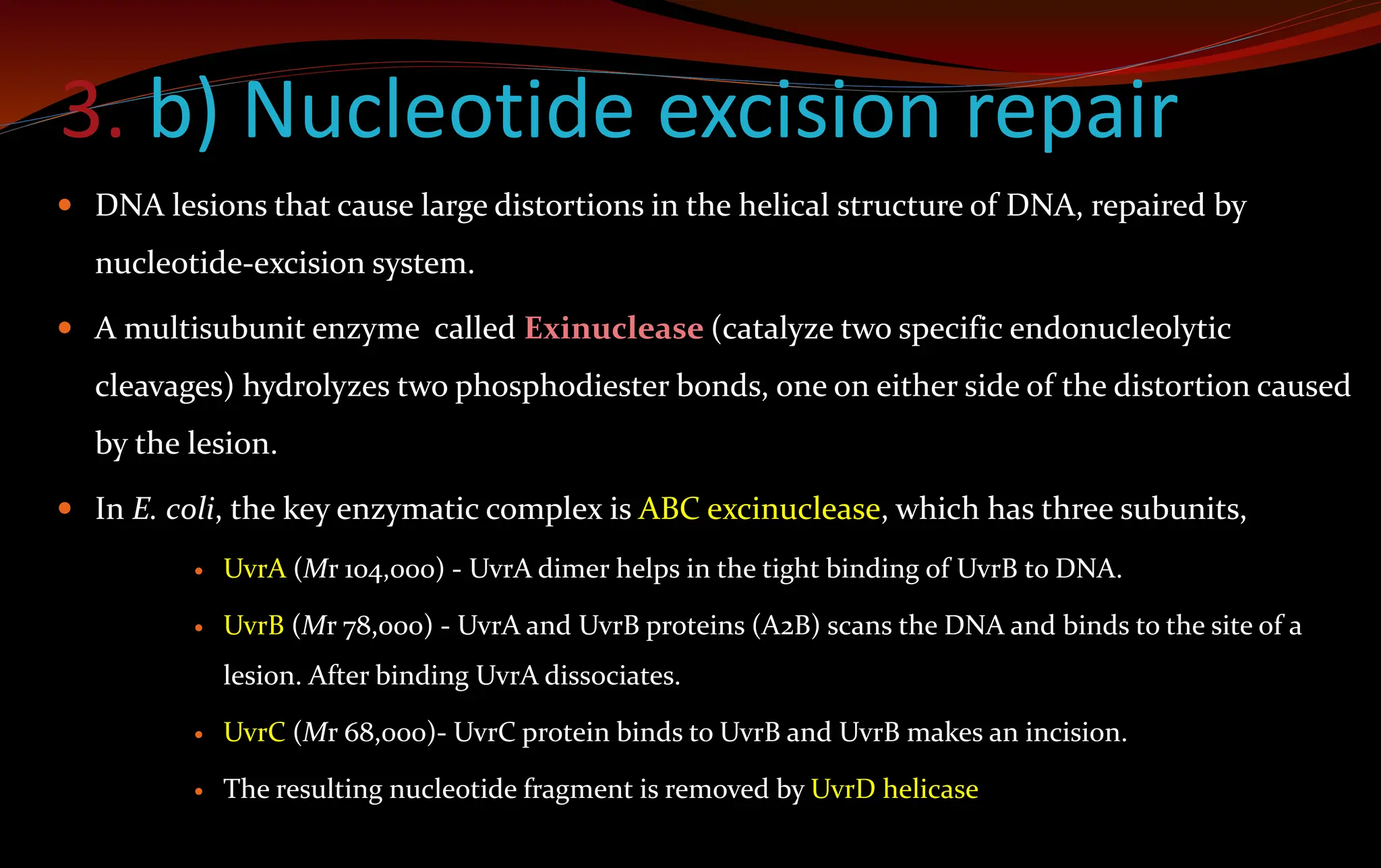 . DNA Repair Mechanisms.pptx