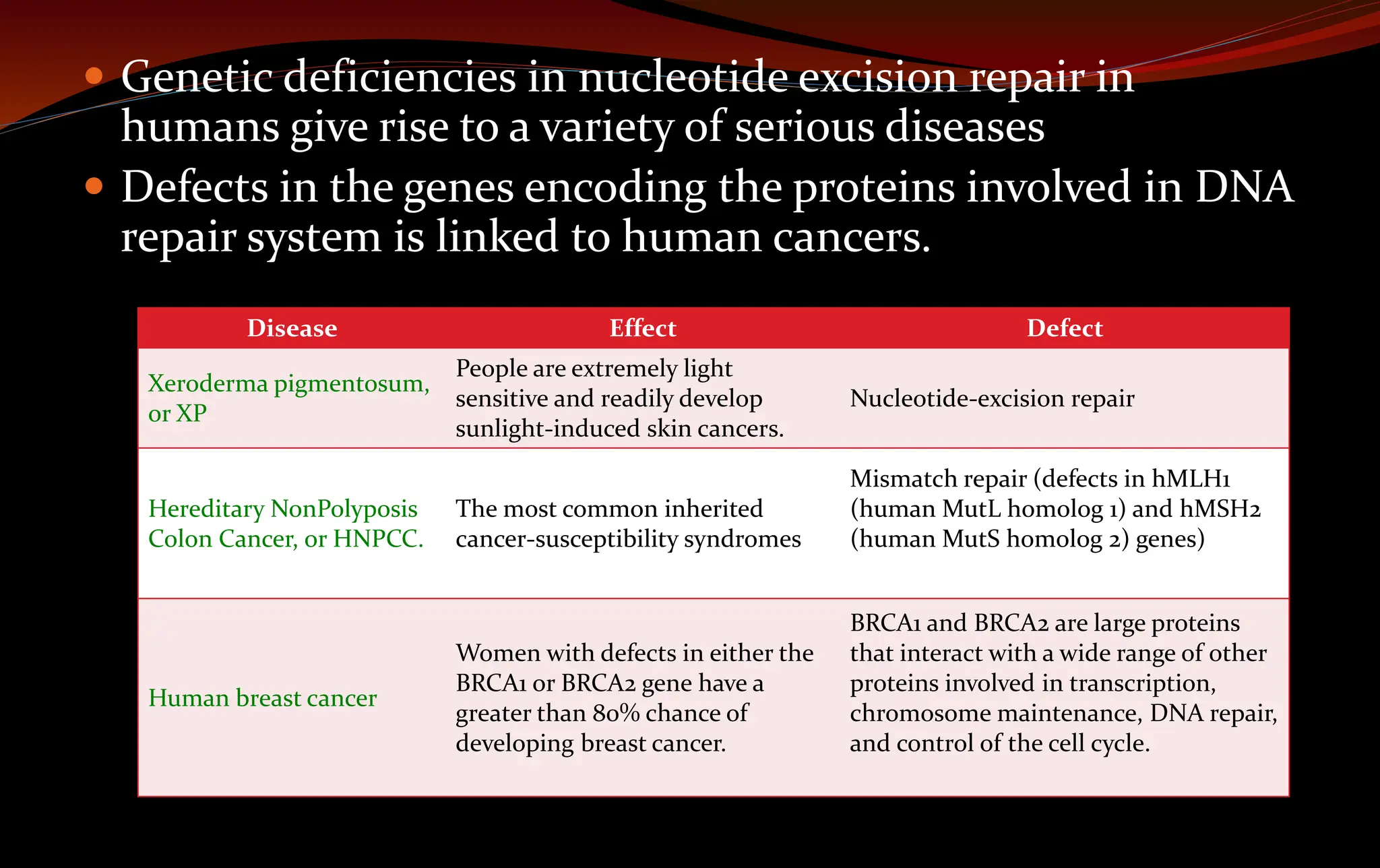 . DNA Repair Mechanisms.pptx