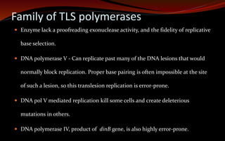. DNA Repair Mechanisms.pptx | Chemistry | Science