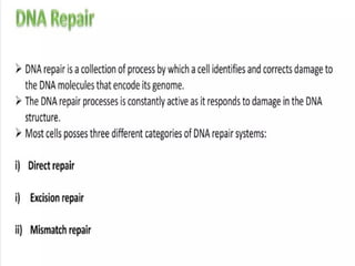 DNA Repair definition, mechanisms of DNA repair | PPTX