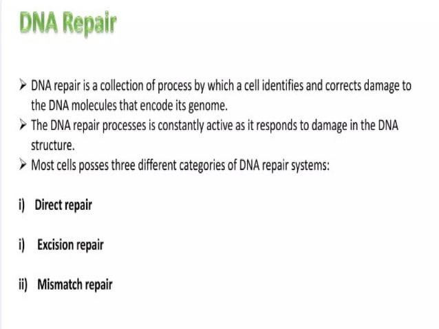 DNA Repair definition, mechanisms of DNA repair | PPT
