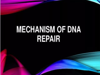 DNA Repair definition, mechanisms of DNA repair | PPT