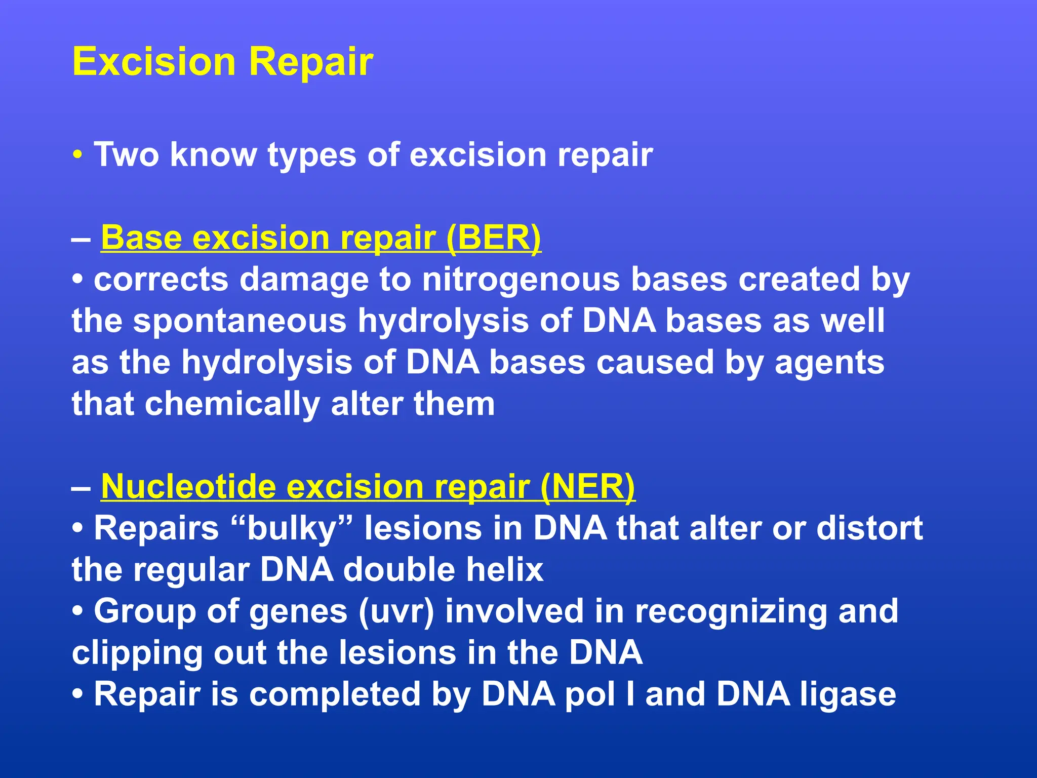 DNA repair along withconcept of mutation.pptx