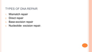 Dna repair | PPT
